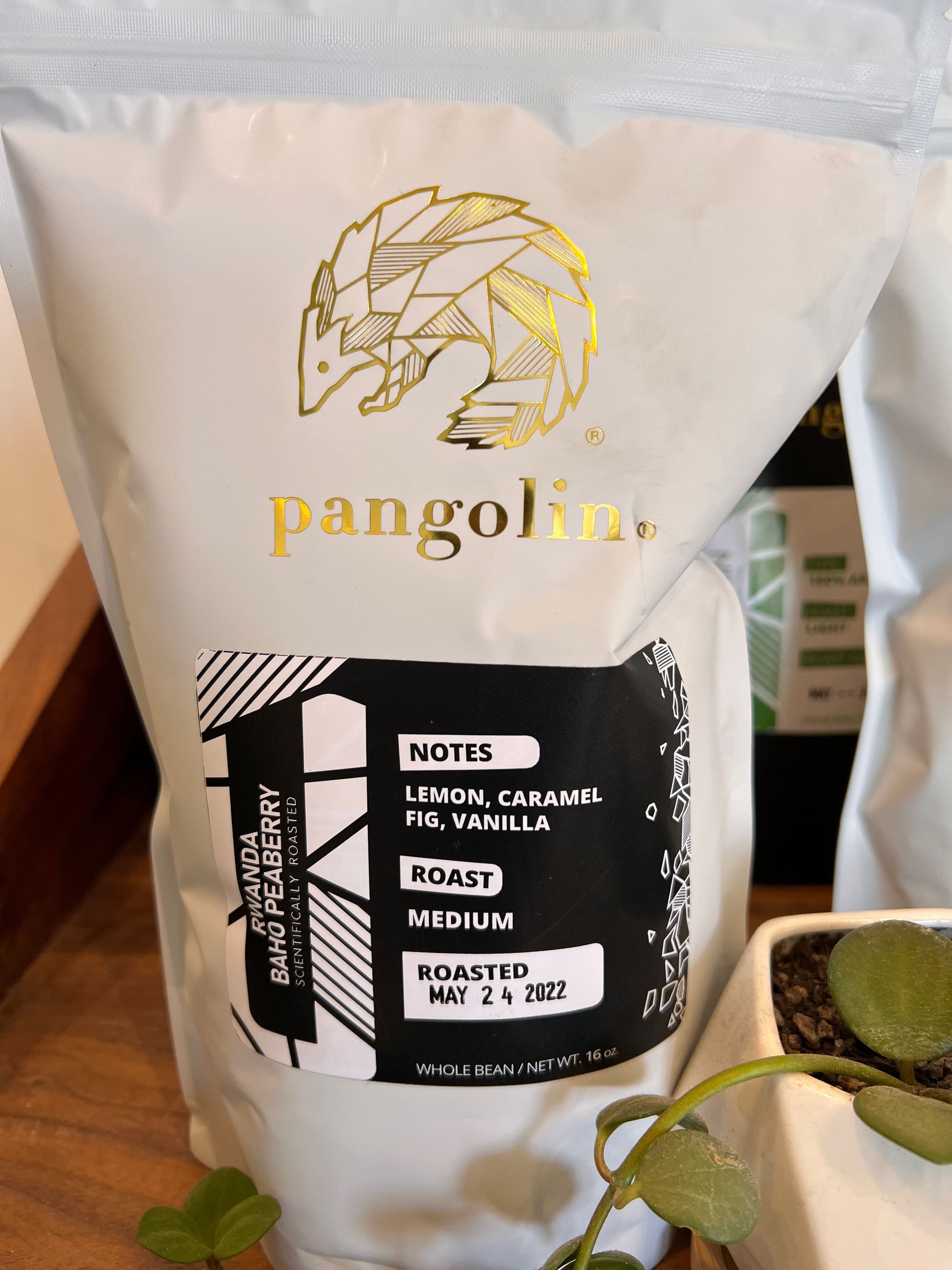 coffee beans with vanilla notes