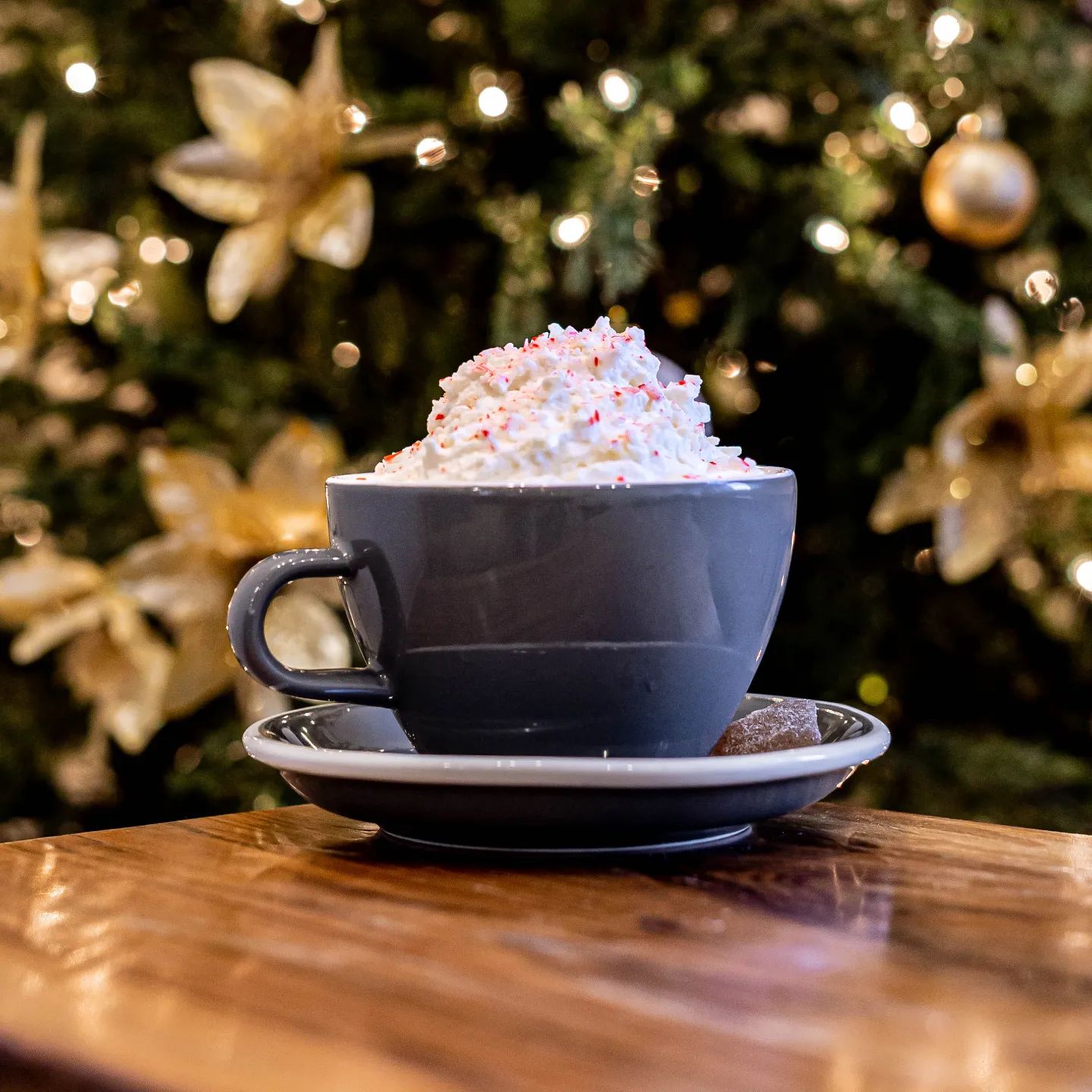Mint Mocha | Pangolin Cafe